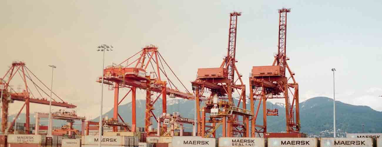 Harvard Growth Lab Viz Hub | The Growth Lab at Harvard Kennedy School