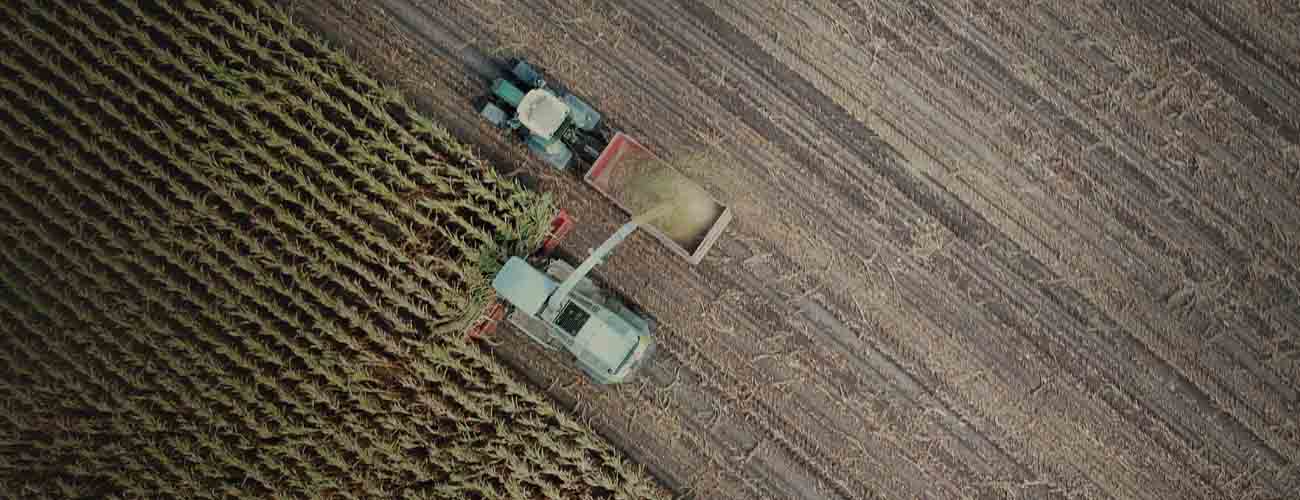 Harvard Growth Lab Viz Hub | The Growth Lab at Harvard Kennedy School