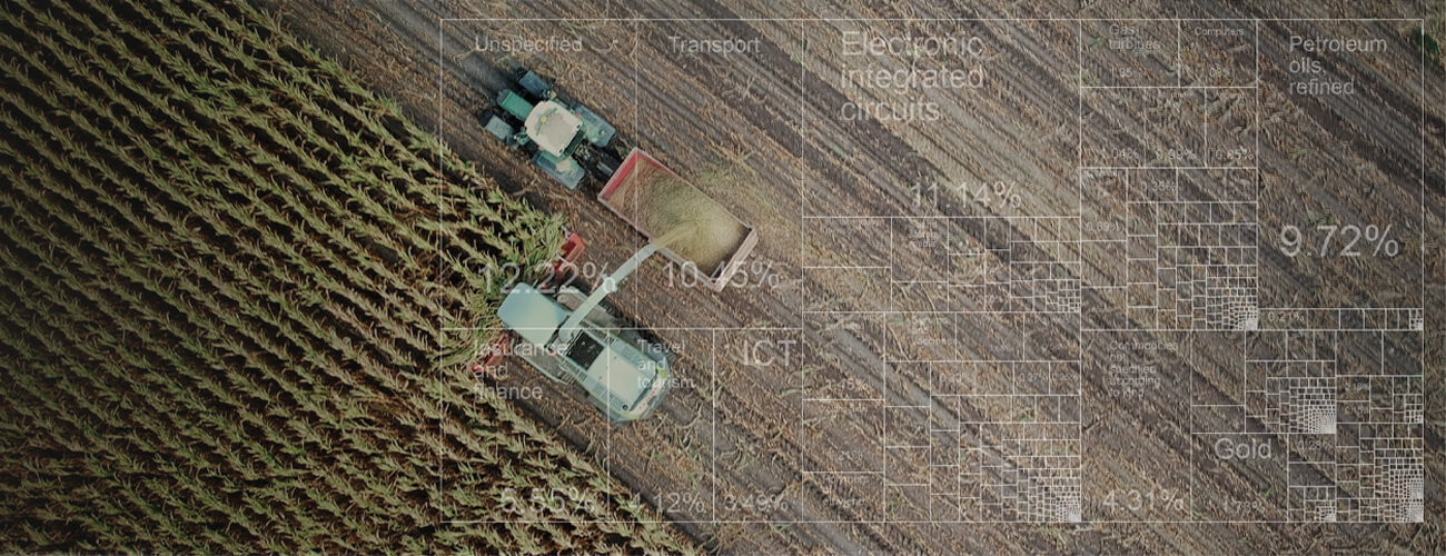 Harvard Growth Lab Viz Hub | The Growth Lab at Harvard Kennedy School