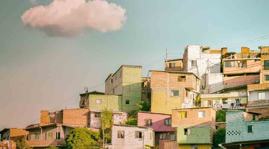 Harvard Growth Lab Viz Hub | The Growth Lab at Harvard Kennedy School